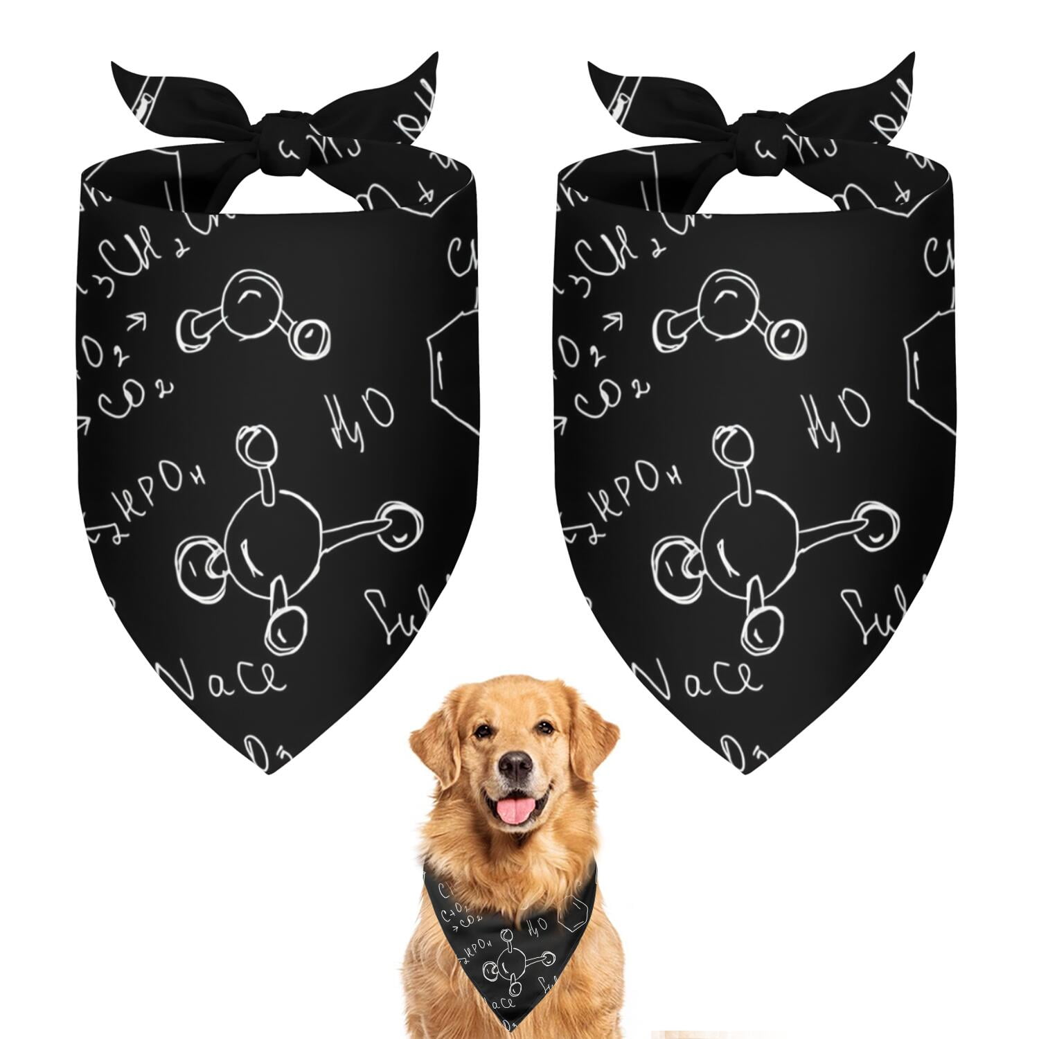Dog Bandana 2 Pack,Math Equations Colorful Science Black Pattern ...