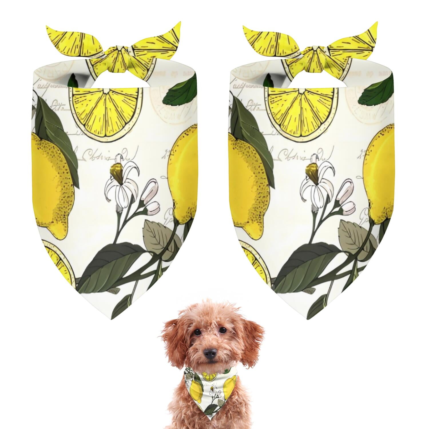 Dog Bandana 2 Pack,Yellow Lemon Fruit Berries Beige Pattern Bandanas ...