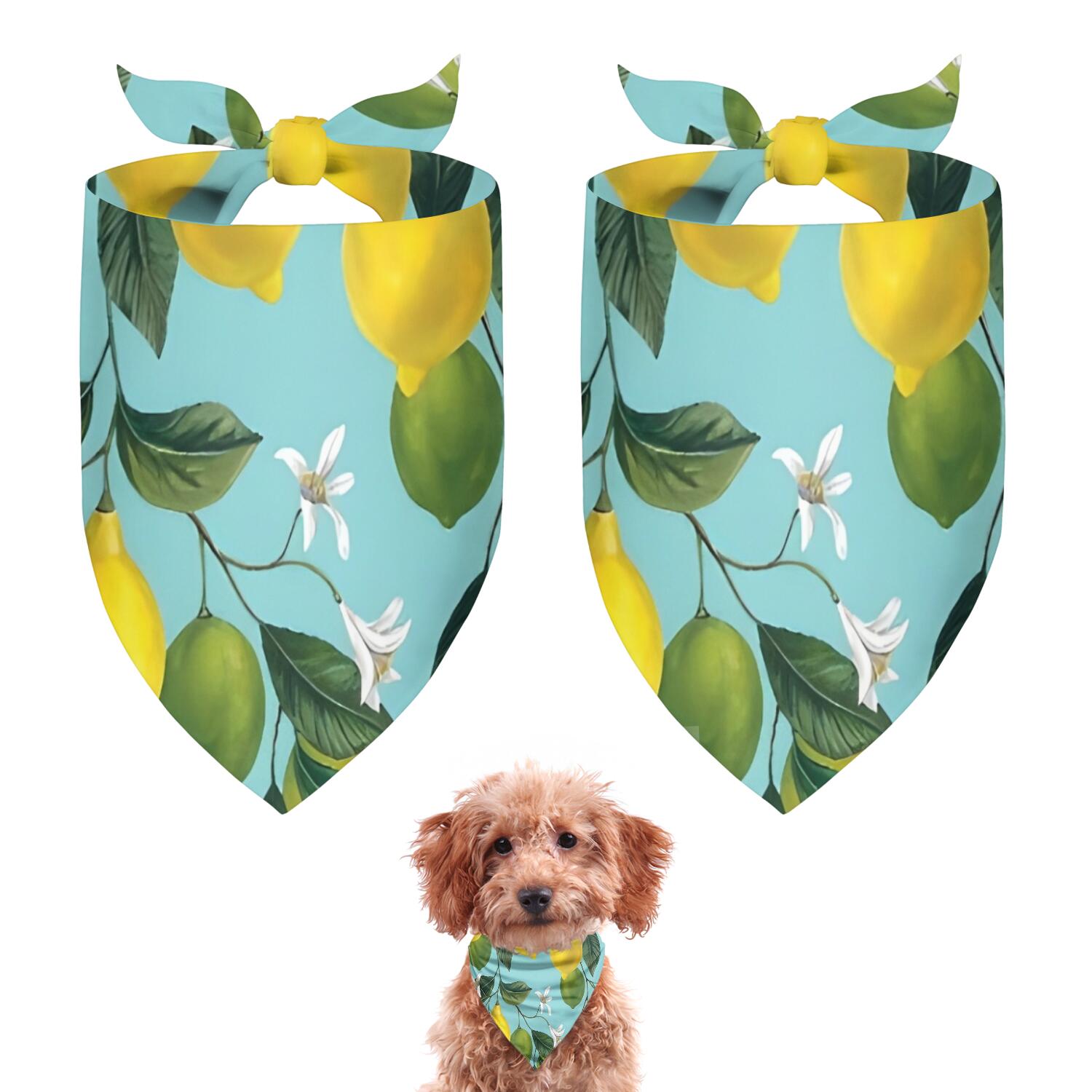 Dog Bandana 2 Pack,Yellow Lemon Fruit Flowers Bandanas for Dogs,Cat ...