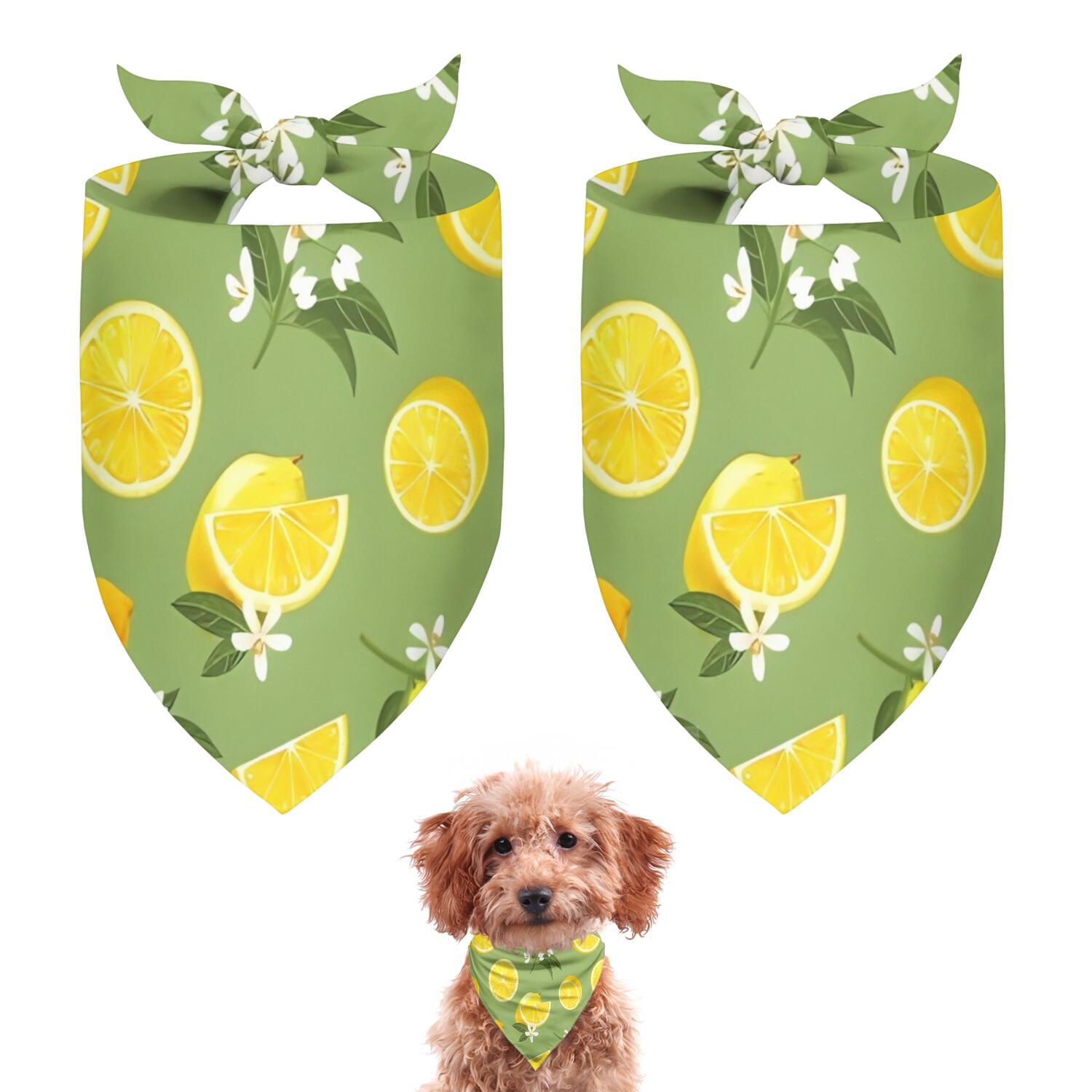 Dog Bandana 2 Pack,Yellow Lemon Fruit Flowers Green Pattern Bandanas ...