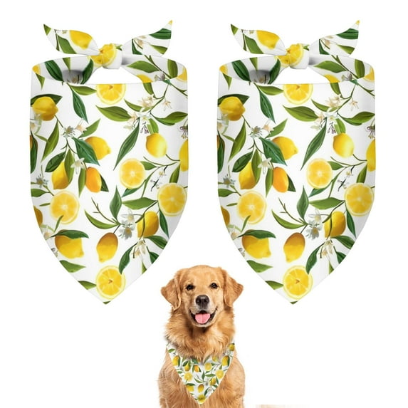 Dog Bandana 2 Pack,Yellow Lemon Fruit Flowers White Pattern Bandanas ...