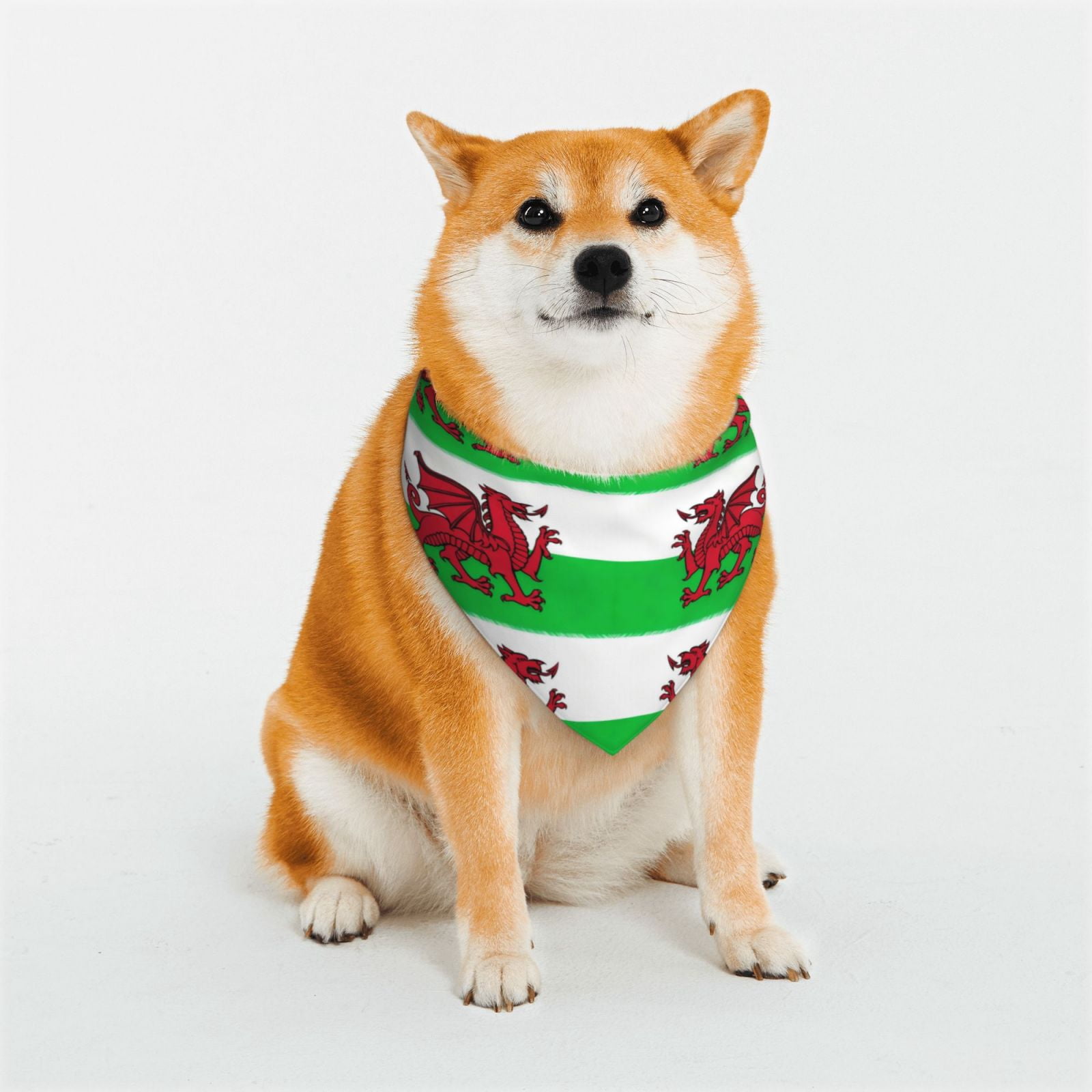 Dog Bandanas with Two Snaps Welsh Dragon Flag Reversible Styles Pet ...
