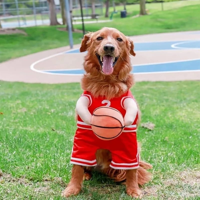 Dog Basketball Player Costume with Dog Basketball Costume Funny Dress ...
