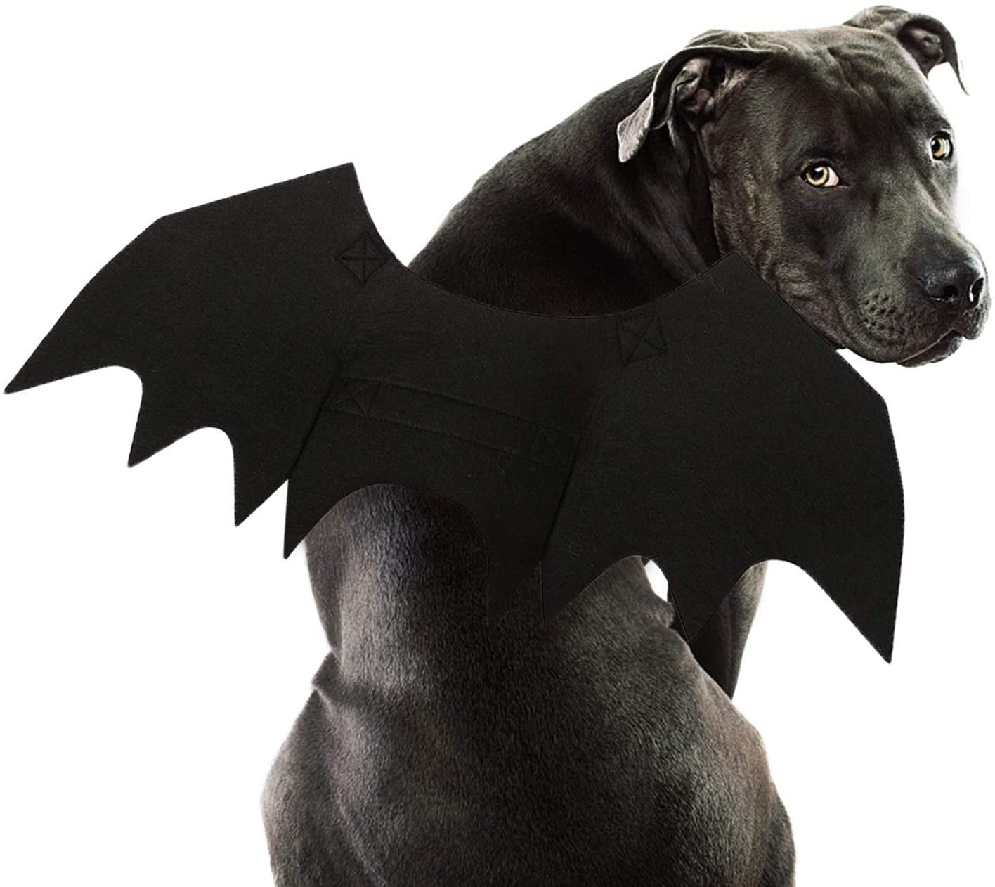 Dog Bat Costume - Halloween Pet Costume Bat Wings Cosplay Dog Costume ...