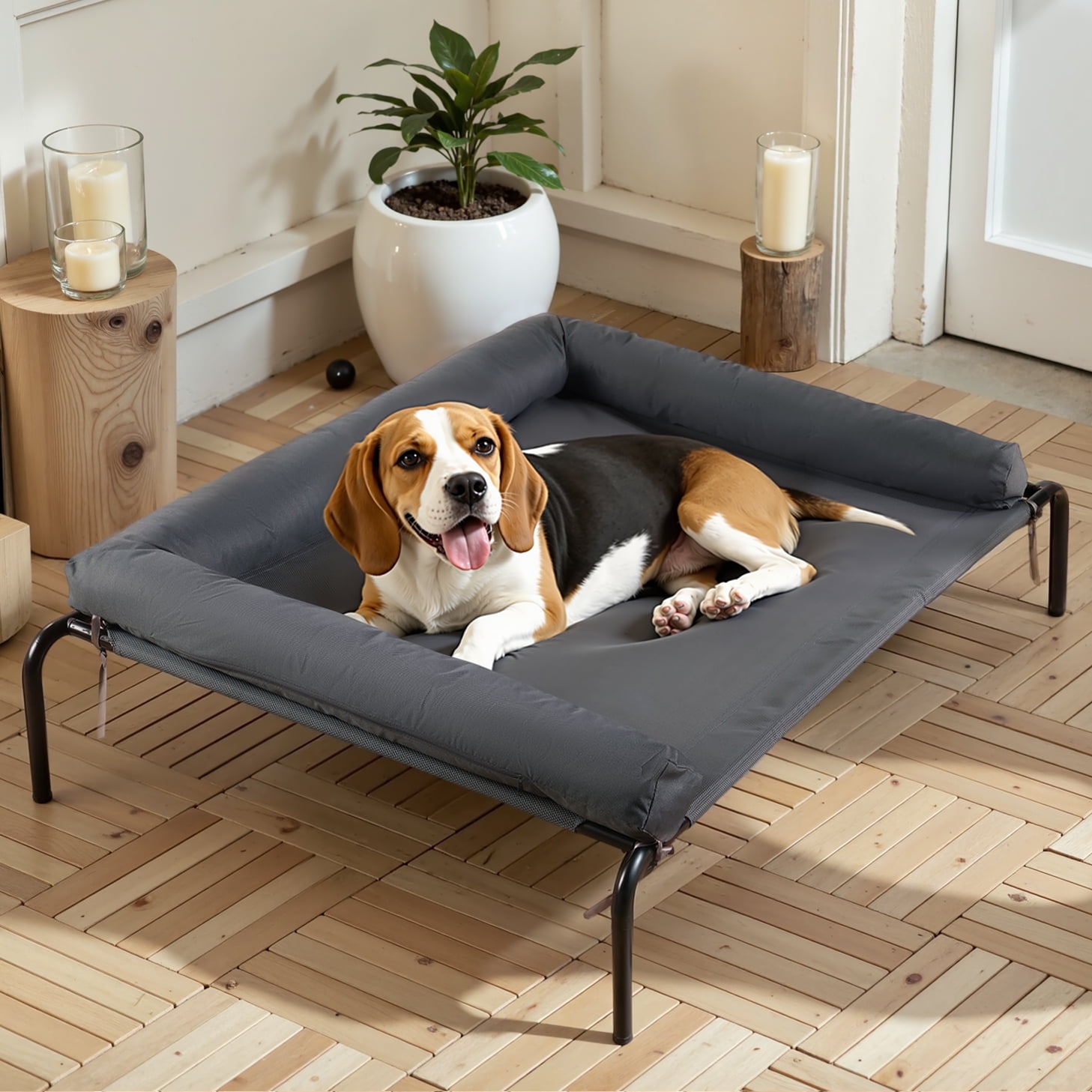 Dog Bed, DOMIPET Elevated Dog Bed Cot with Removable Pillow for Medium ...