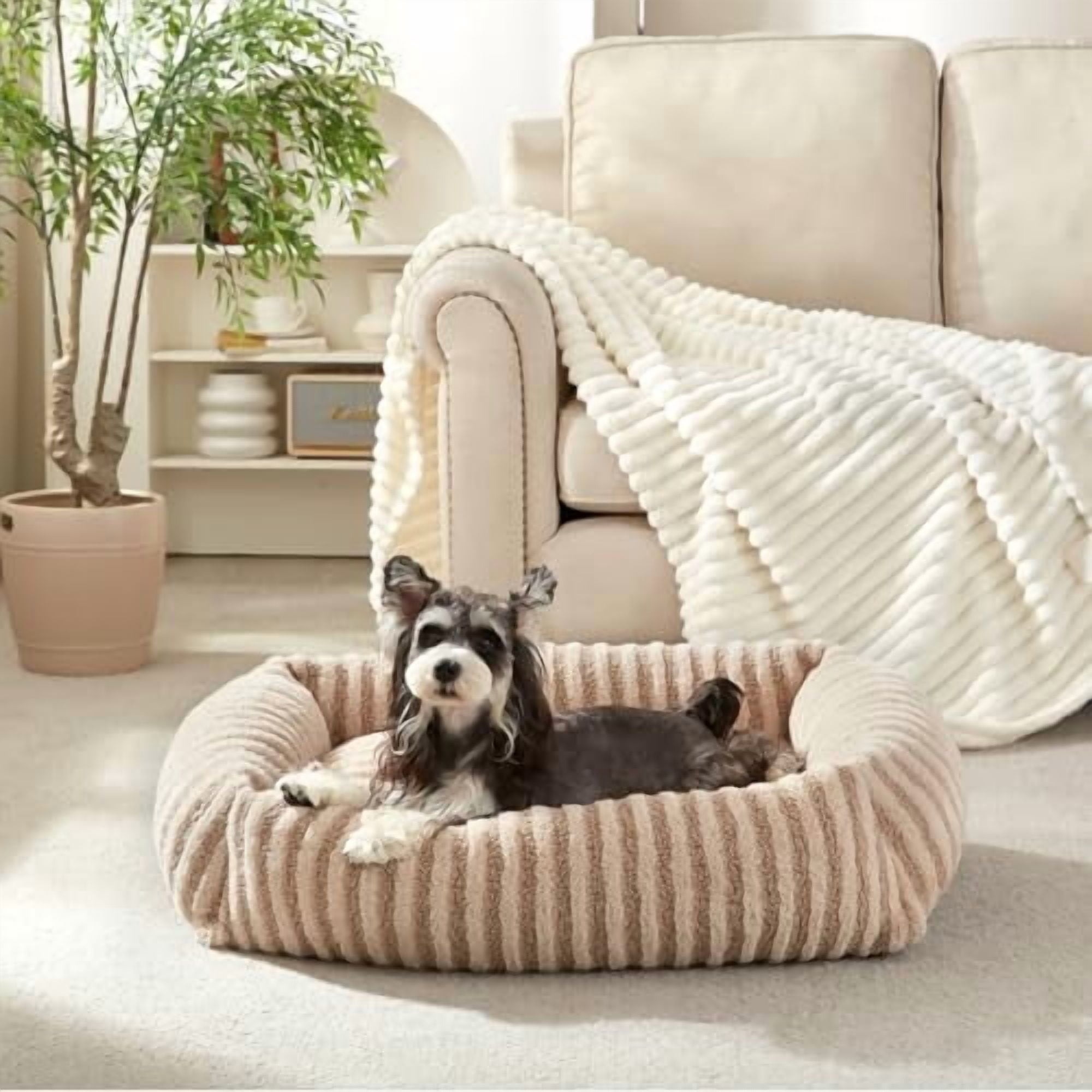 Dog Bed for Medium Small Size Dog, Washable Medium Dogs Bed with ...