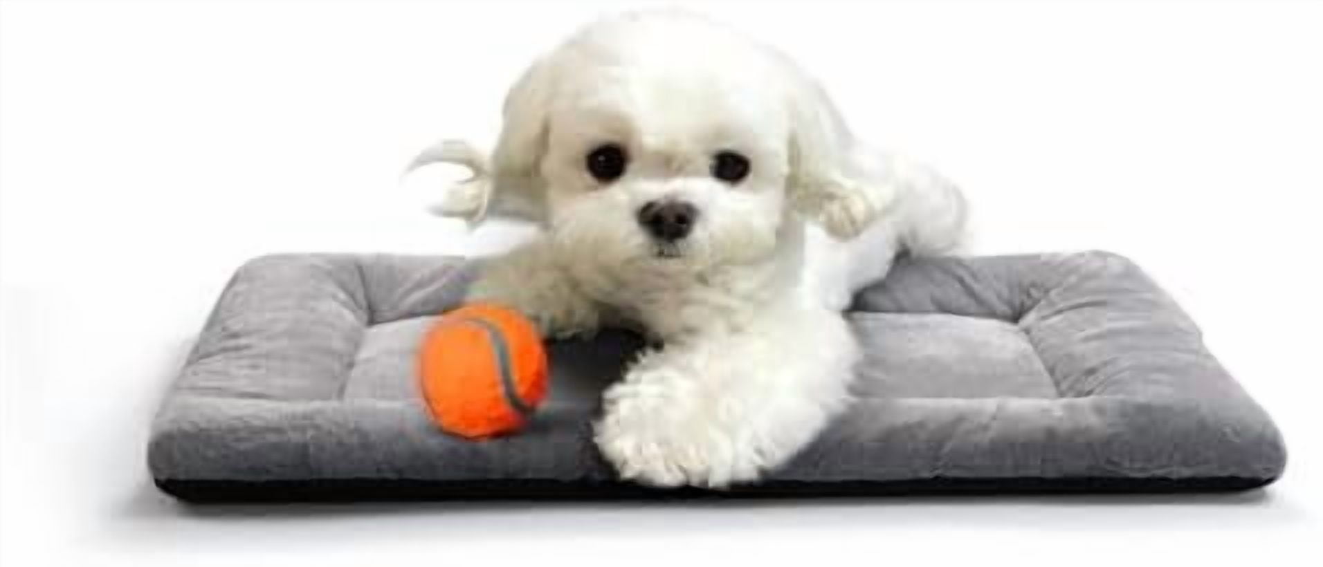 Dog Beds Crate pad for Extral Small Fit Metal, Utral Soft,Washable ...