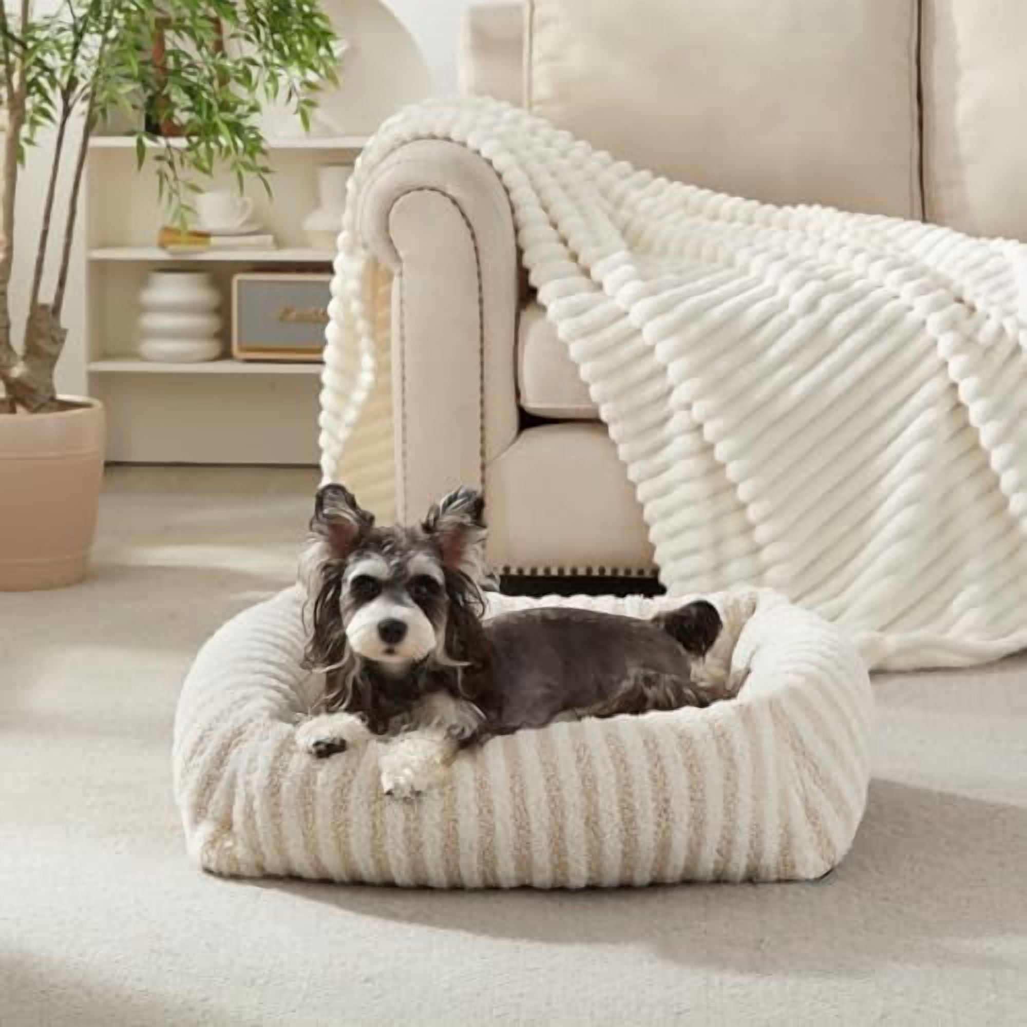 Dog Beds for Small Dogs Cats, Washable Dog Bed with Removable Cover ...