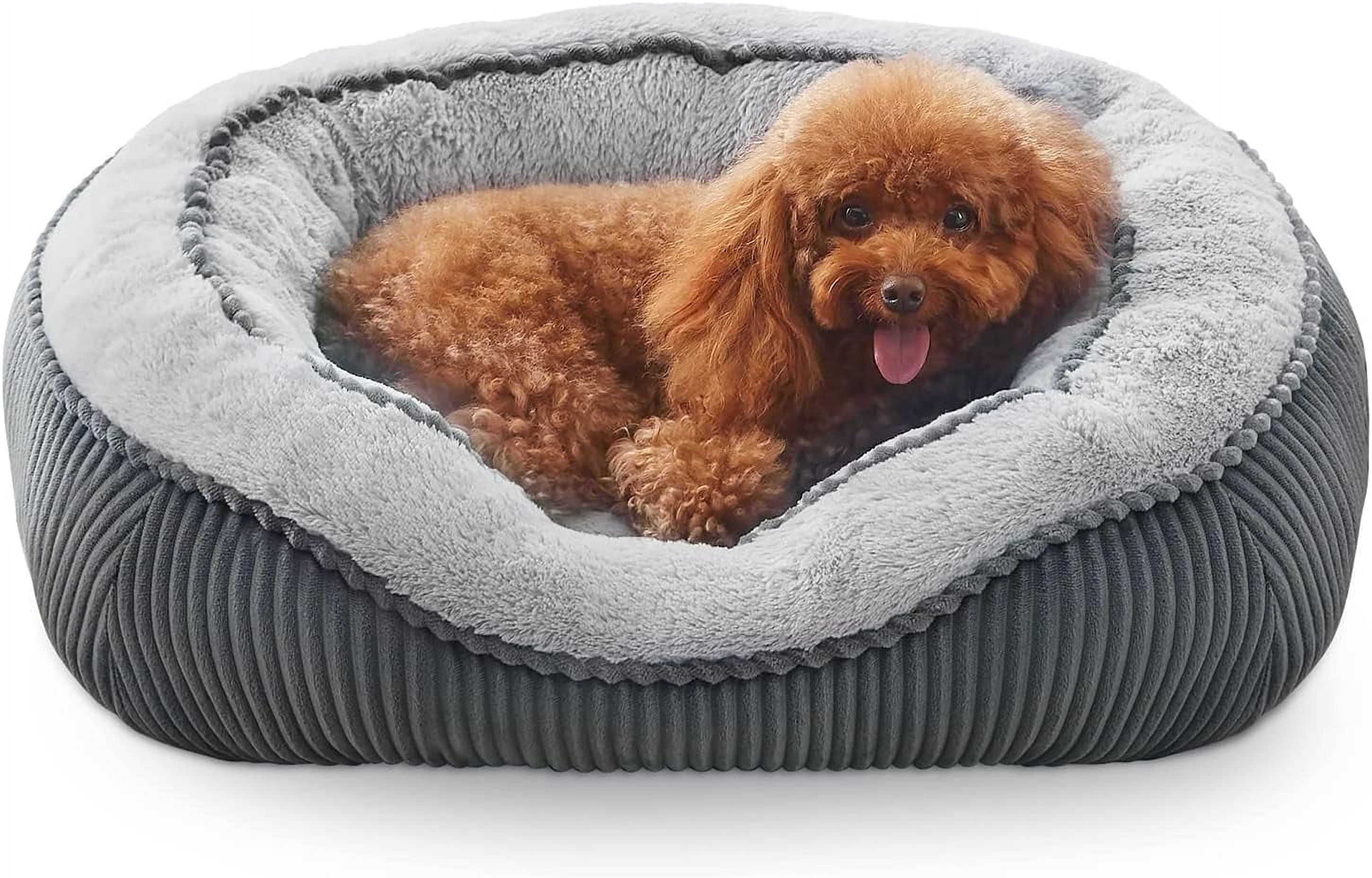 Dog Beds for Small Dogs & Cats, Washable Dog Sofa Bed with Wide Sides ...