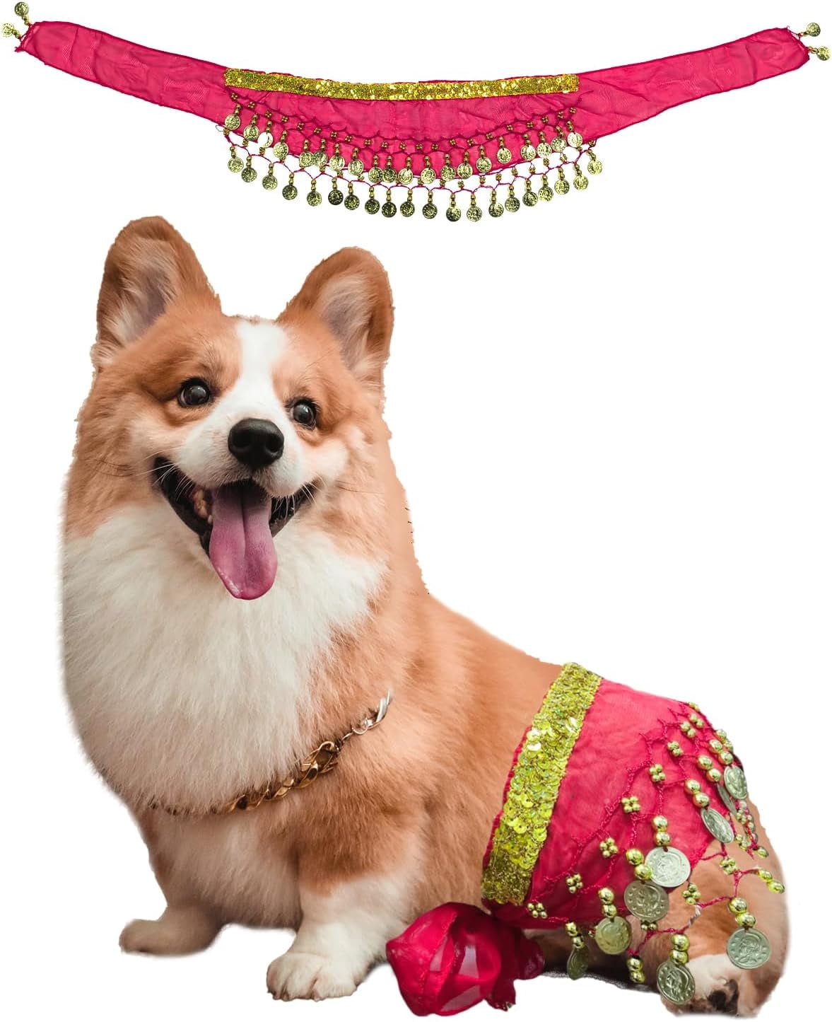 Dog Belly Dancer Costume - Puppy Outfit with Sequin Waist Chain & Hip ...