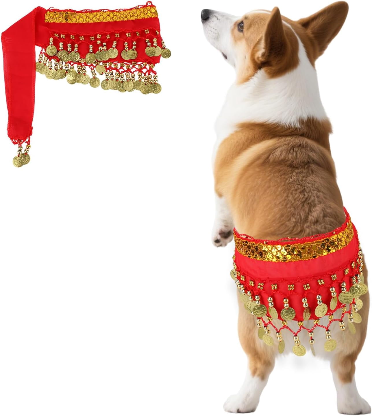 Dog Belly Dancer Skirt, Bling Belly Dance Hip Scarf for Corgis Dog ...