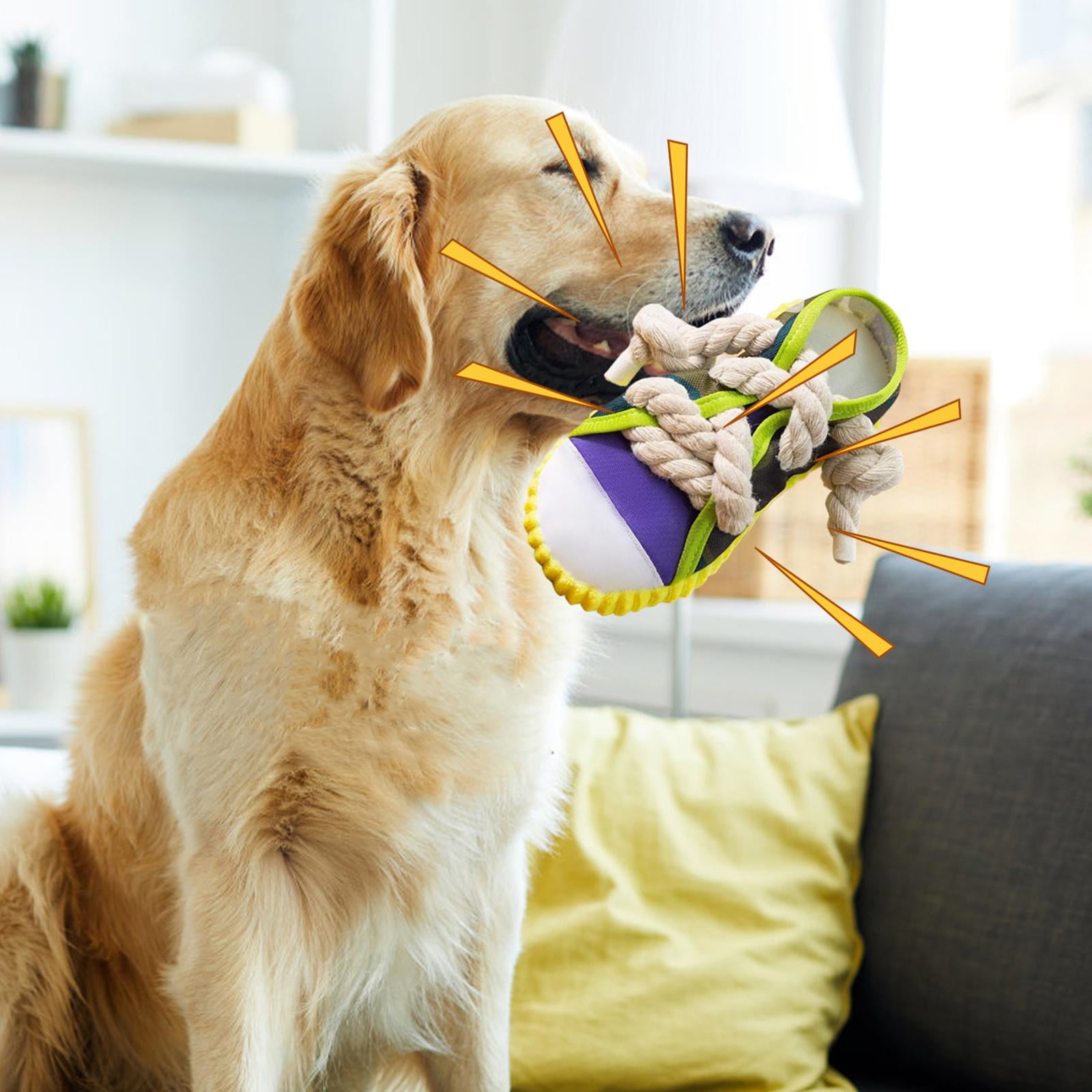 Dog Bite Tug Toy, Dog Toy Tug Toy, Squeaky Tear Resistant Playing ...