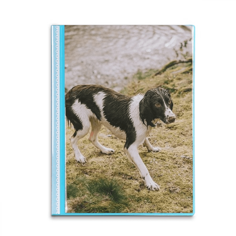 Dog Black White Animal Picture Book Sheet Protectors Portfolio Binder ...