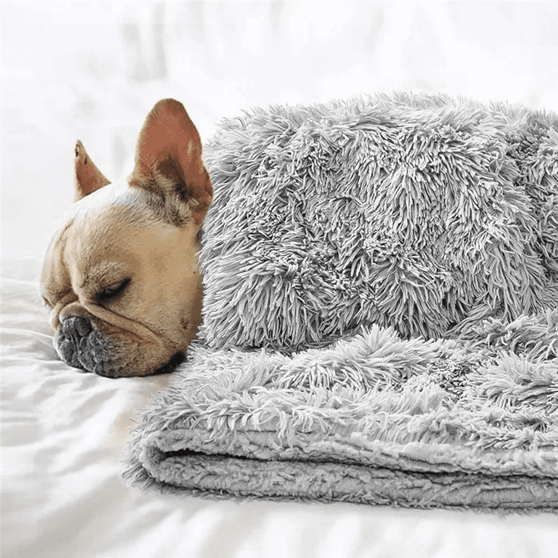 Dog Blanket, Super Soft Warm Fluffy Pet blanket, Shaggy Faux Fur Pet ...