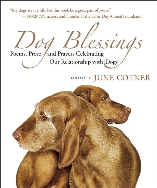 Dog Blessings : Poems, Prose, and Prayers Celebrating Our Relationship ...