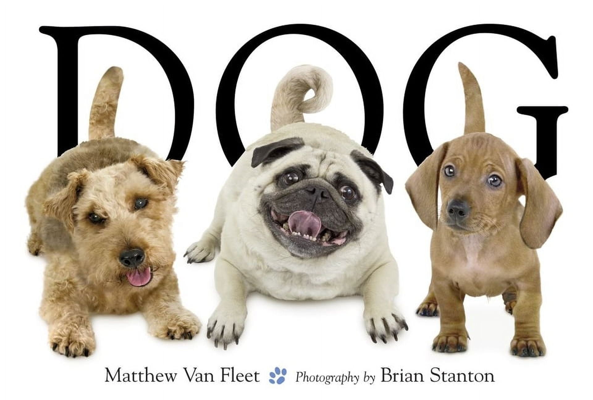 Dog (Board Book) - Walmart.com