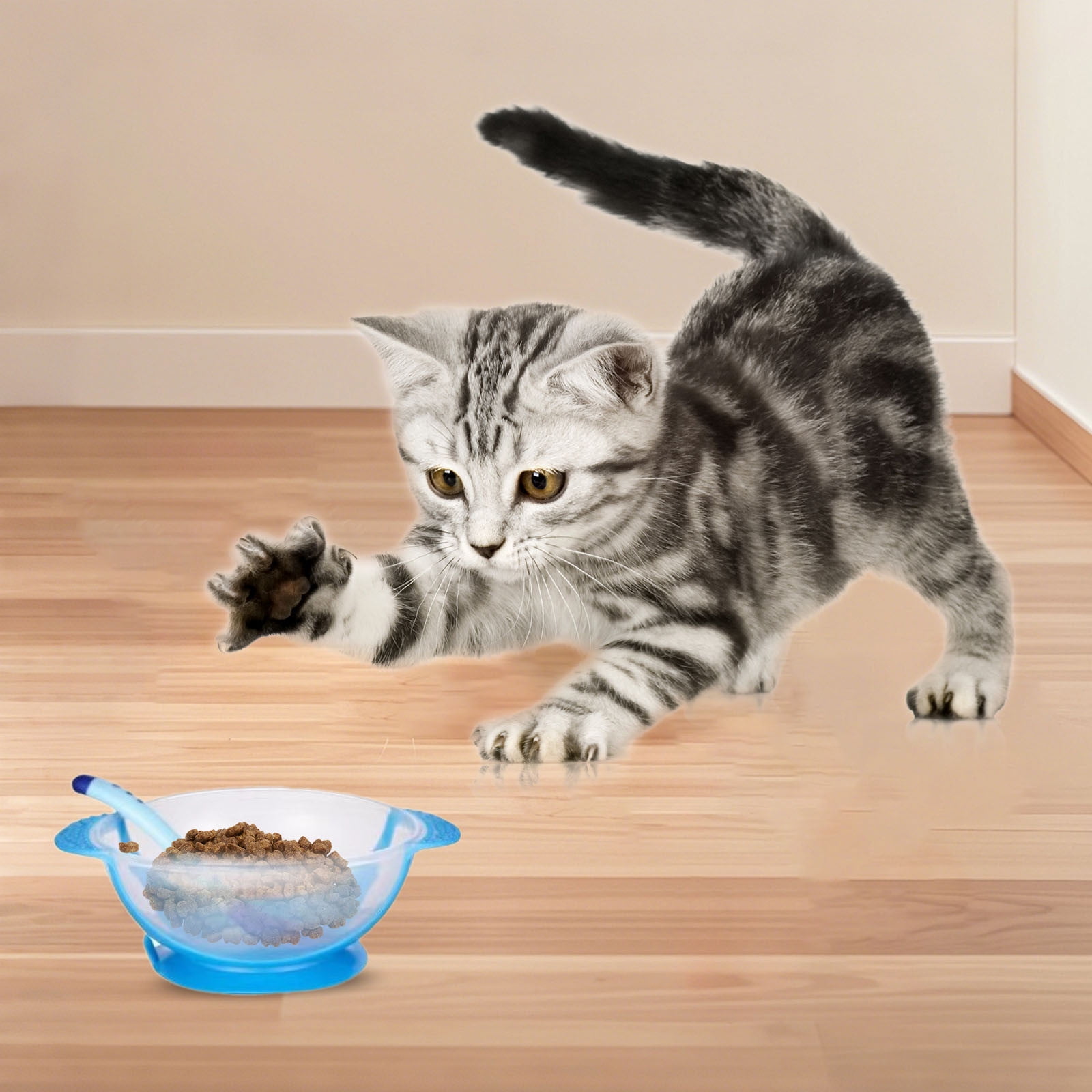 Dog Bowls Pet Feeding Bowl For Dogs And Cats Durable Plate With Handles ...