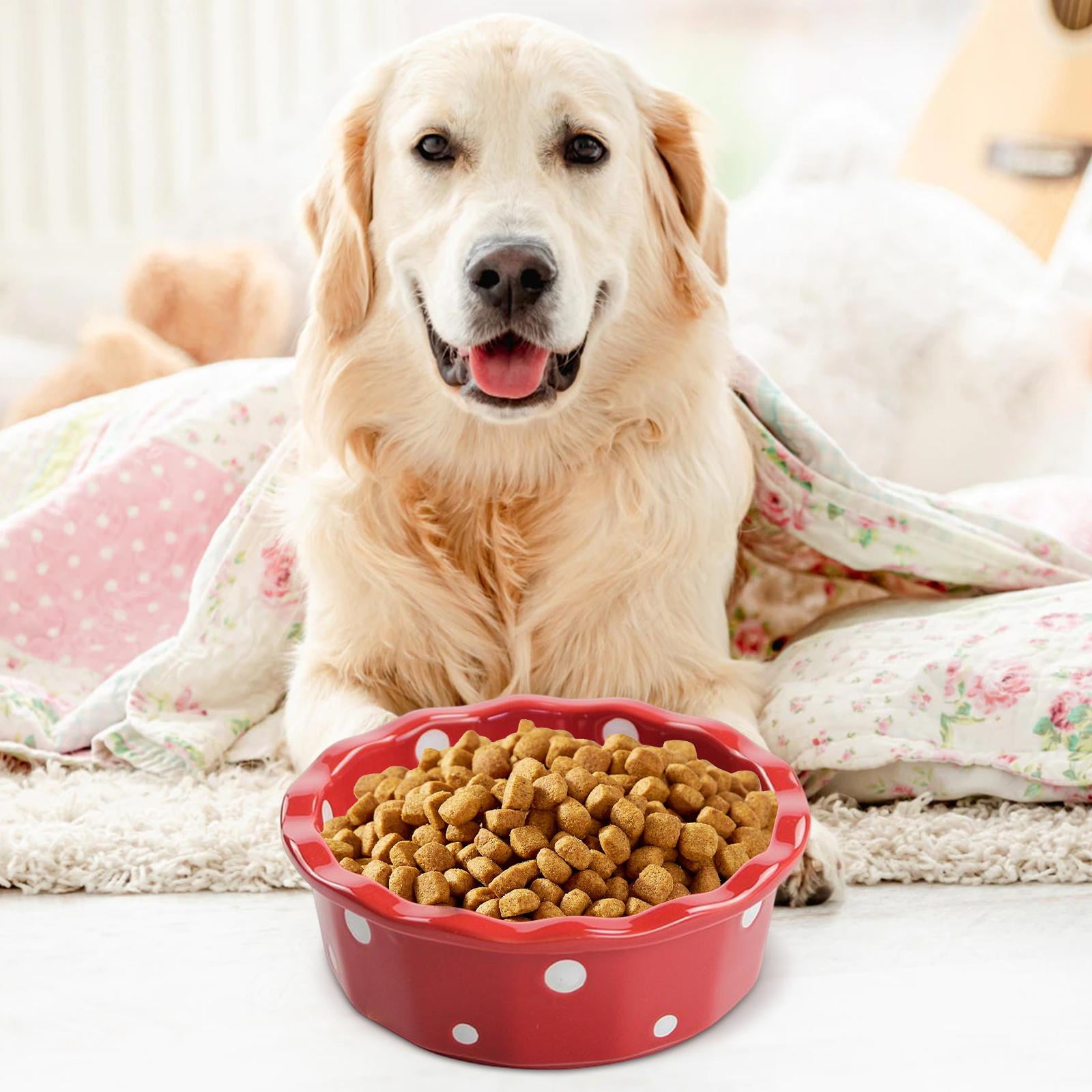 Dogs and Cats Food Water Bowls Ceramic Pet Bowls Cute Dogs Feeding ...