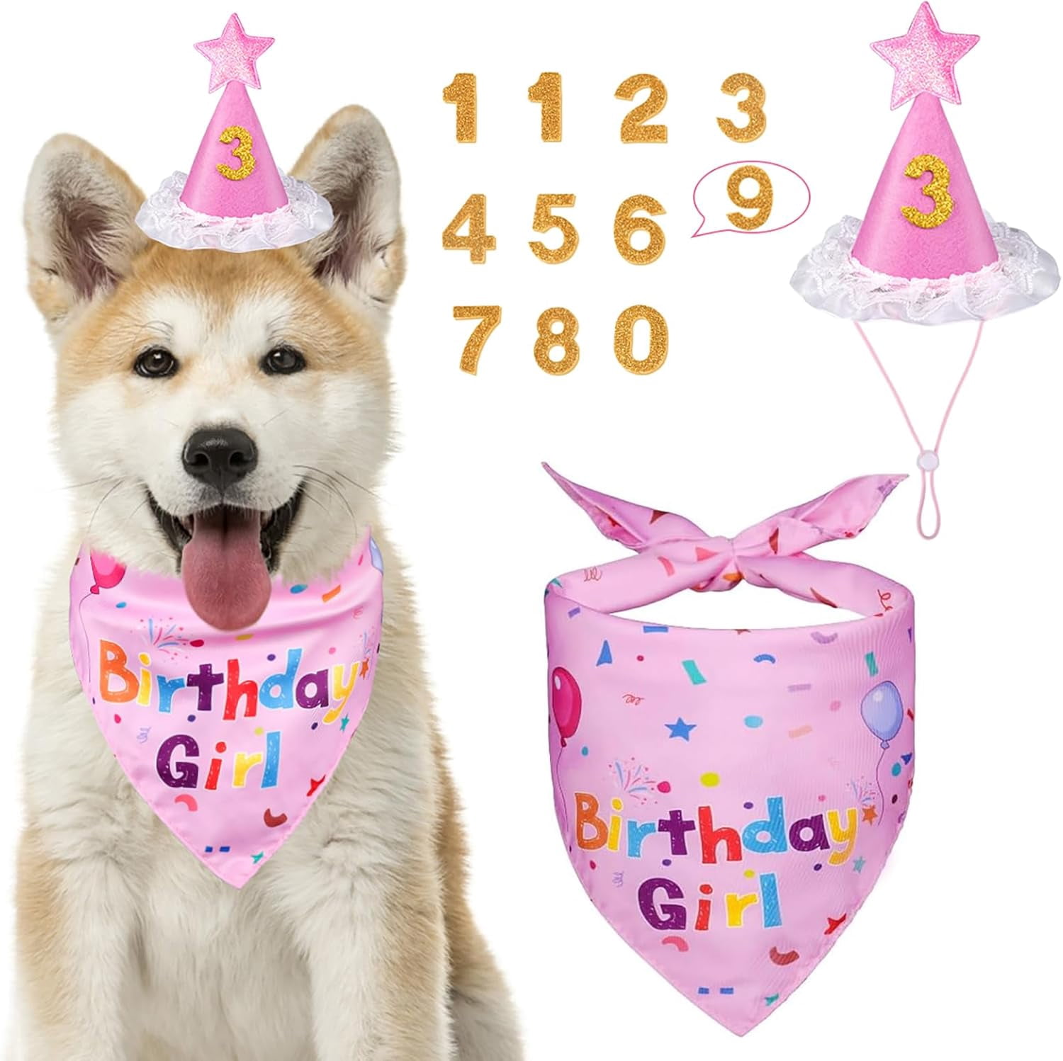 Dog Boy Girl Birthday Party Hat, Dog Birthday Party Supplies, Birthday ...