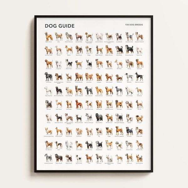 Dog Breeds Poster, 100 Dogs Infographic Art (Able)- Wall Art Print ...