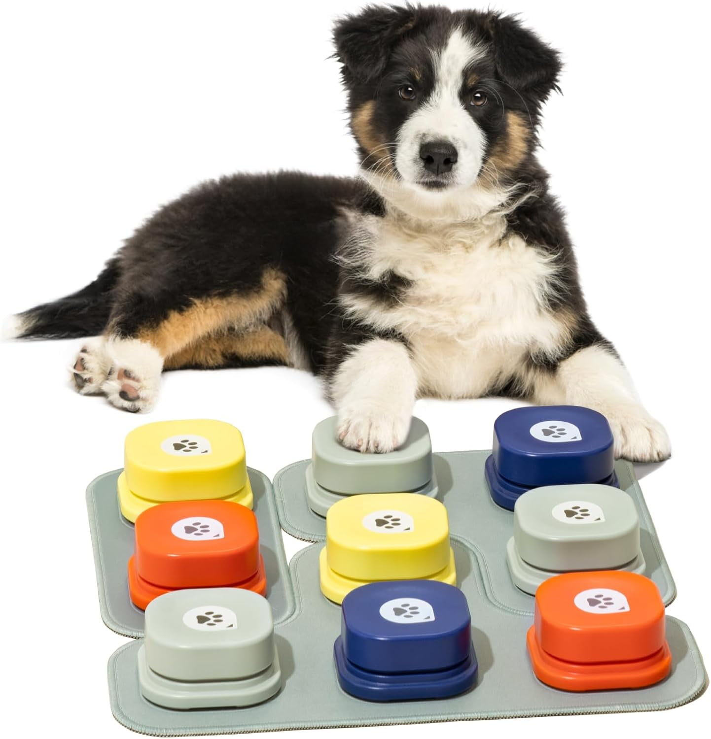 Dog Buttons for Communication Starter Pack Recordable Dog Talking Buttons Set Dog Training ...