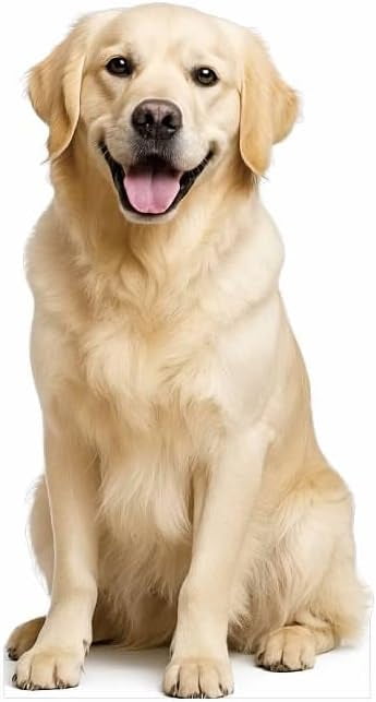 Dog Cardboard Cutout 3 Feet – Life-Size Realistic Animal Standee for ...
