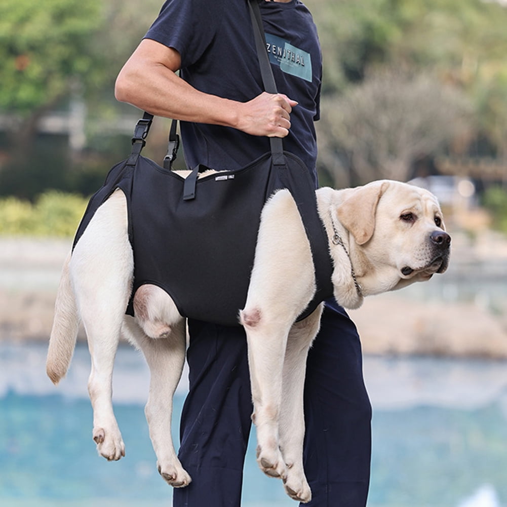 Dog Carry Sling, Dog Sling Carrier With Breathable Mesh, Pet Legs ...