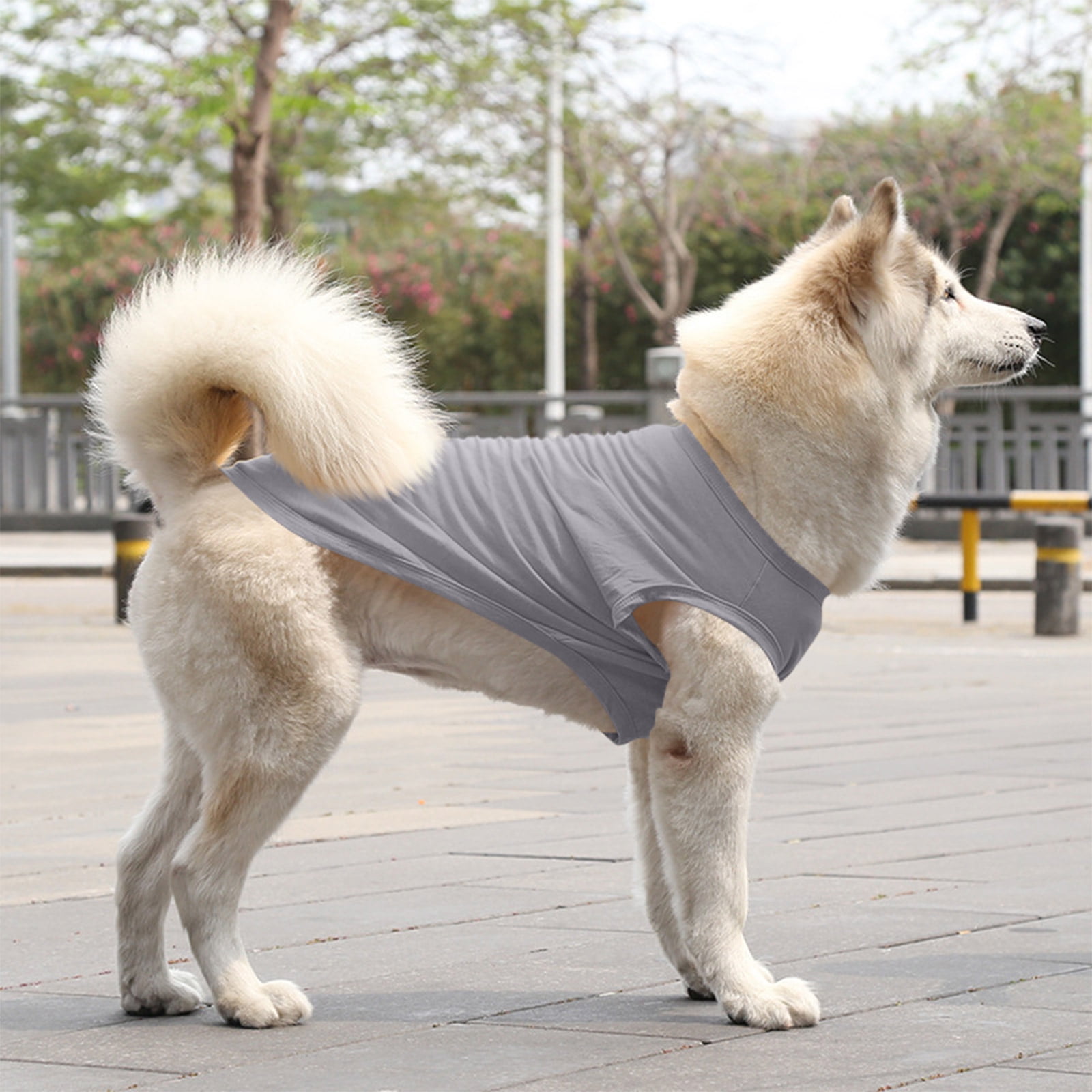 Dog & Cat Cooling Vest, Lightweight Stretchy Fabric for Outdoor Walks ...