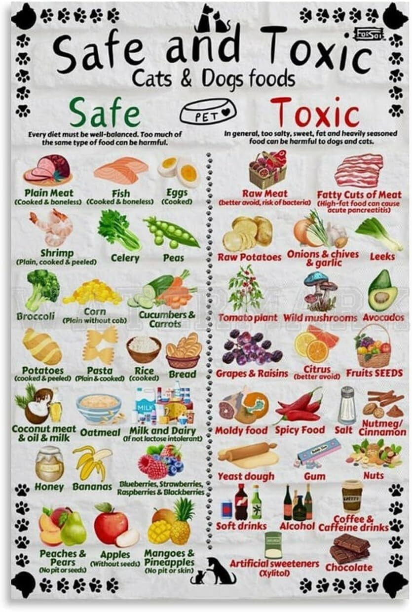 Dog Cat Feeding Guide Poster,Safe And Toxic Food List,animal Diet Chart ...