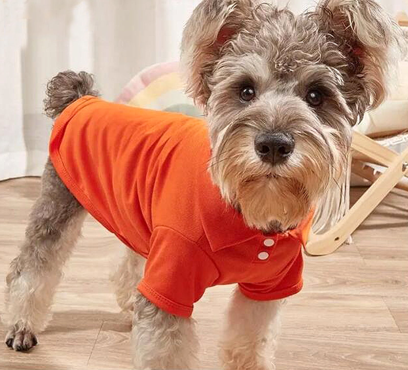 Dog Cat Kitten Shirts Collared Polo T-Shirts for Small Medium Dogs Cats ...