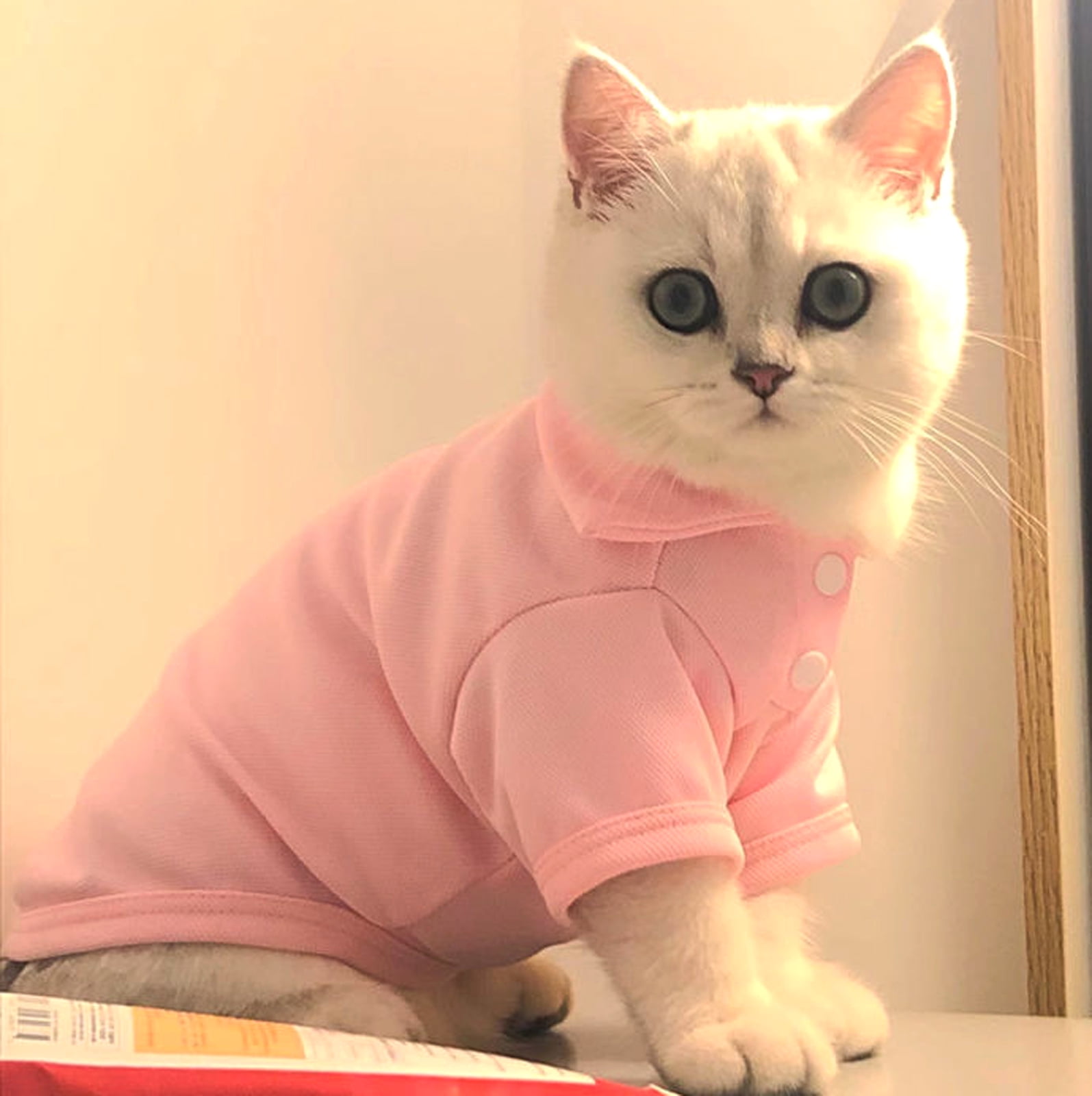 Dog Cat Kitten Shirts Collared Polo T-Shirts for Small Medium Dogs Cats ...