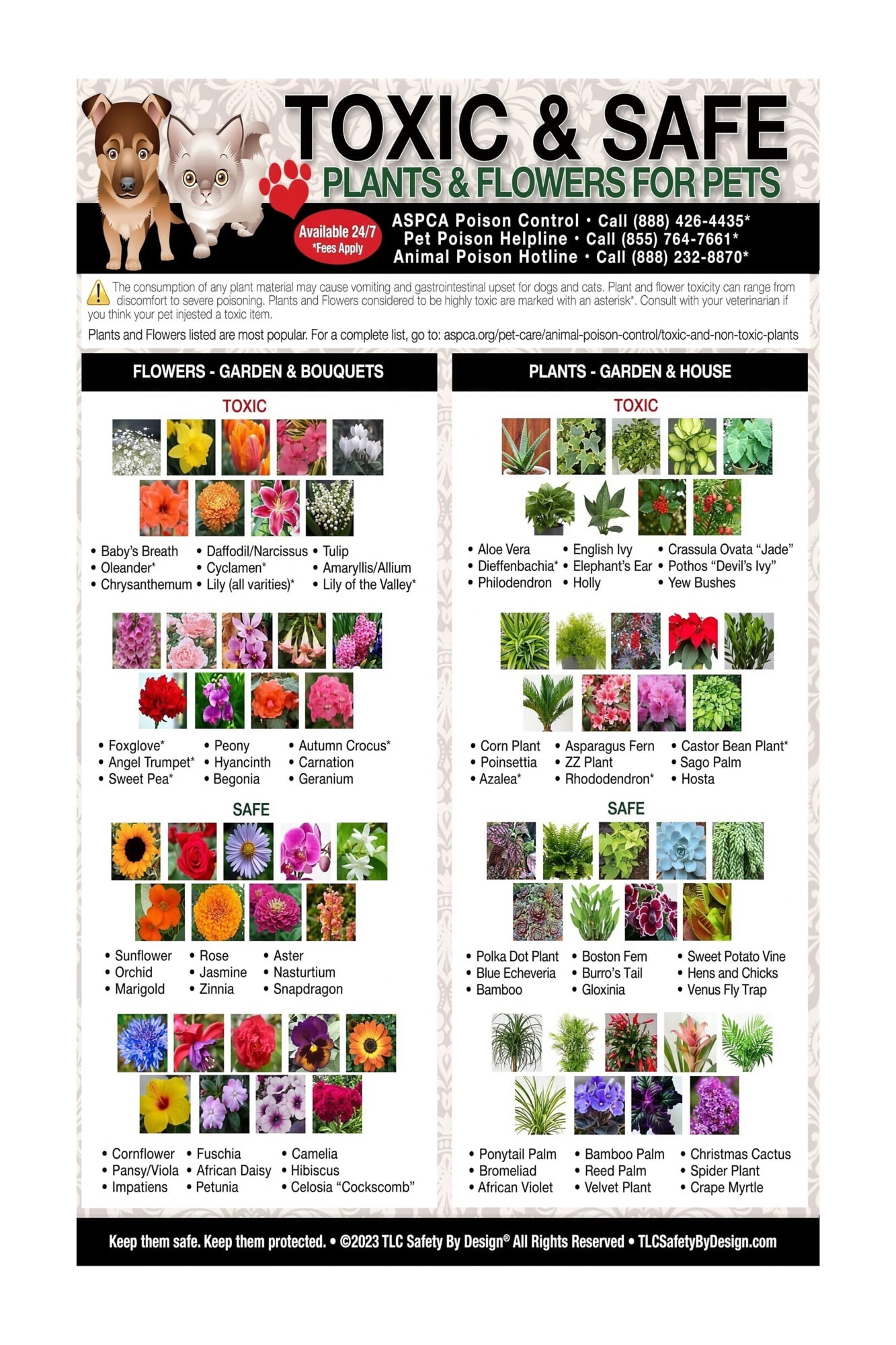 Dog Cat Safety Poster Toxic Safe Plants Chart Guide to Poisonous ...