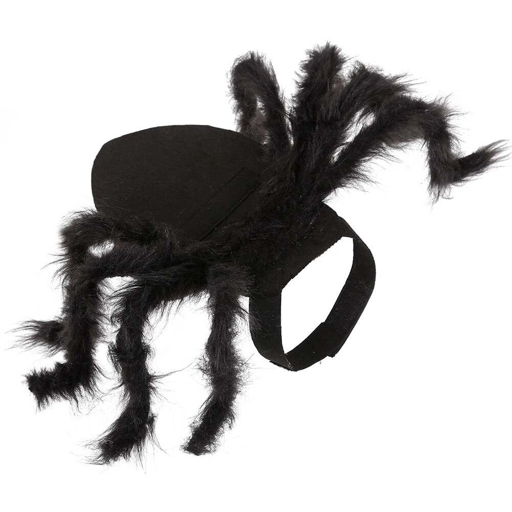 Dog Cat Spider Costume Spider Dog Costume Halloween Costume For Dogs ...