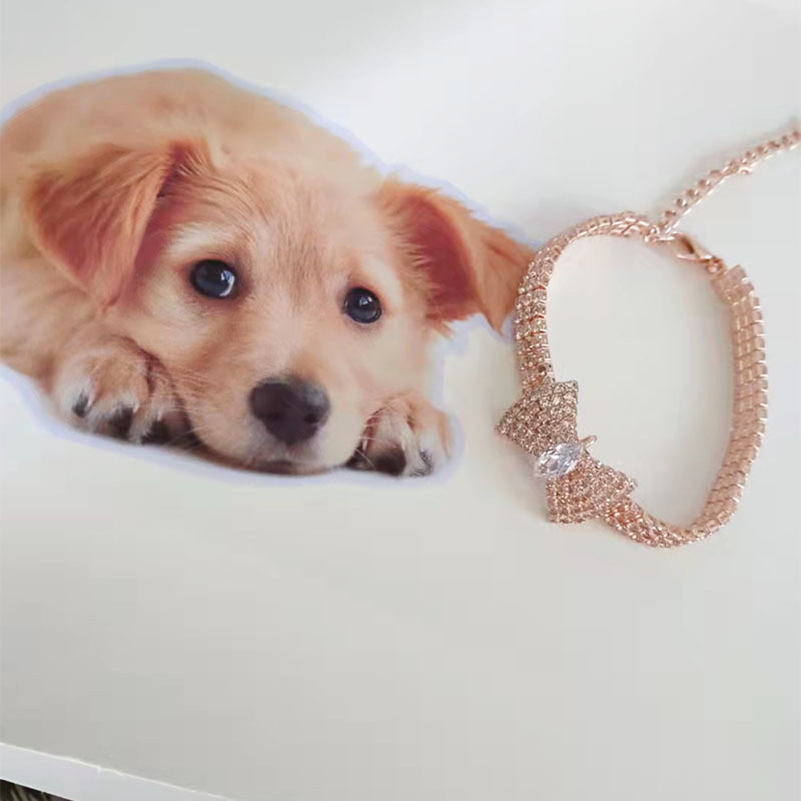 Dog Chain Collar Diamond Chain Dog Collar Cat Chain Pet Crystal Collar ...