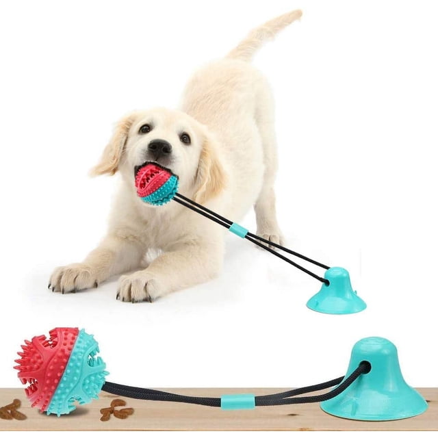 Walmart Dog Chew Toys, Suction Cup Tug of War, Interactive Pet Toy ...