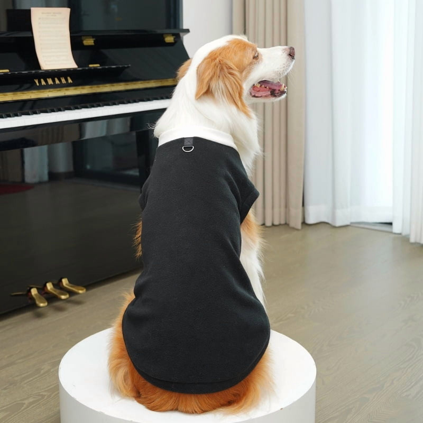 Dog Cloth Set - Cozy Thermal Dog & Cat Clothes for Small Medium Large ...