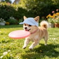 Dog Clothes Adjustable Mesh Dog Baseball Cap with Ear Holes Breathable ...