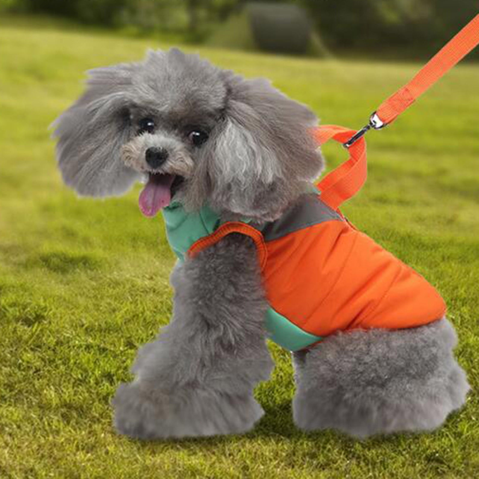 Dog Coat with Harness,Dog Winter Coat,Built-in Harness Dogs Jacket with ...