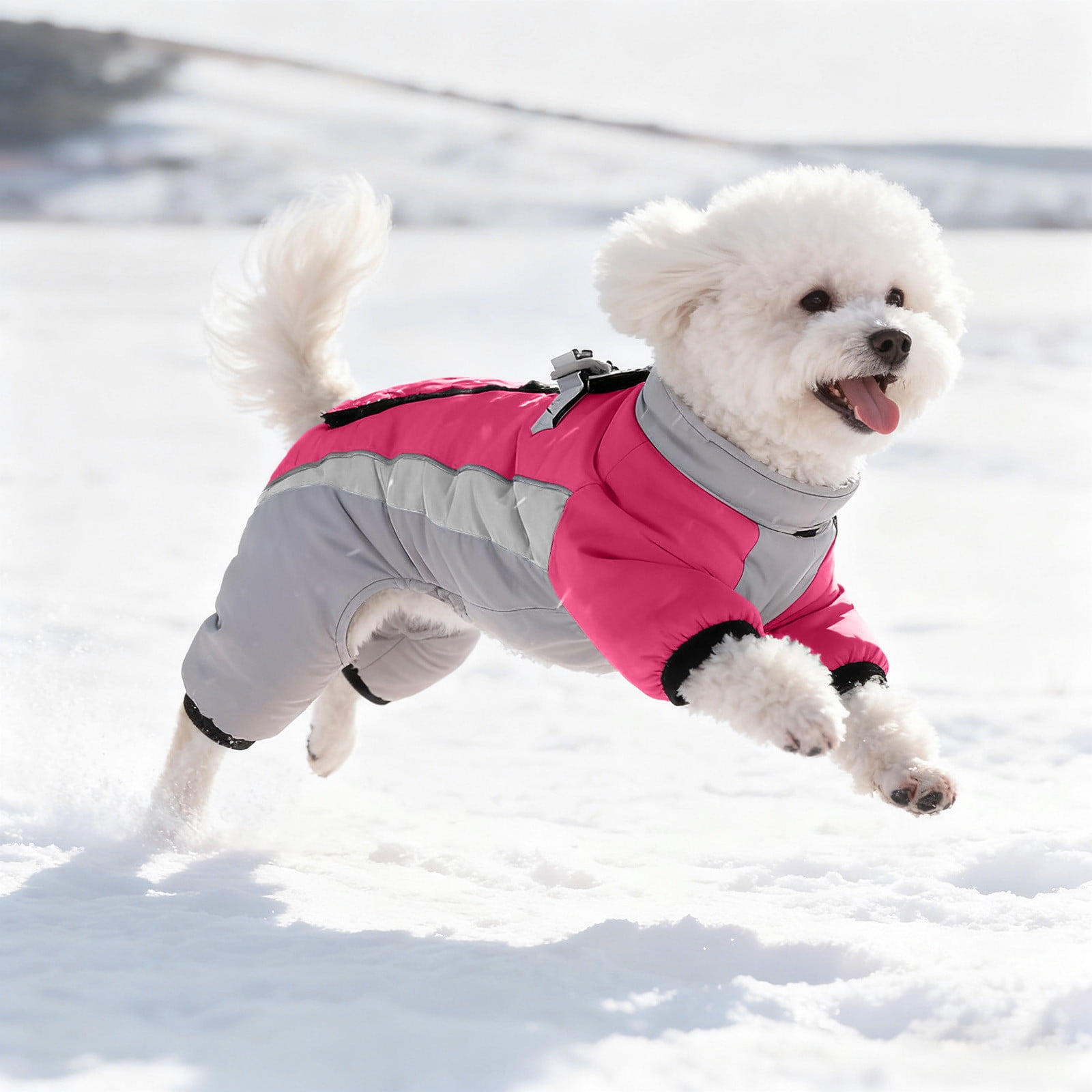 Dog Coat, Warm Dog Jackets for Small Dogs, Dogs Winter Coat with ...