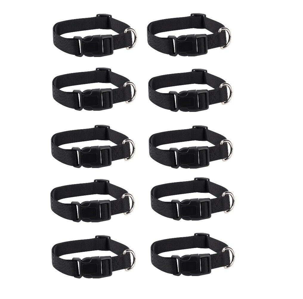 Dog Collar Bulk Packs Black Nylon Shelter Rescue Vet 4 Adjustable Sizes (6 to 10 Inch - 10 ...