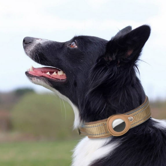 Dog Collar Holder with Nylon Cover for Secure Pet Tracking and Training ...