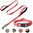 Dog Collar and Leash Set,Extra Small Dog Collar,Puppy Collars for Small ...