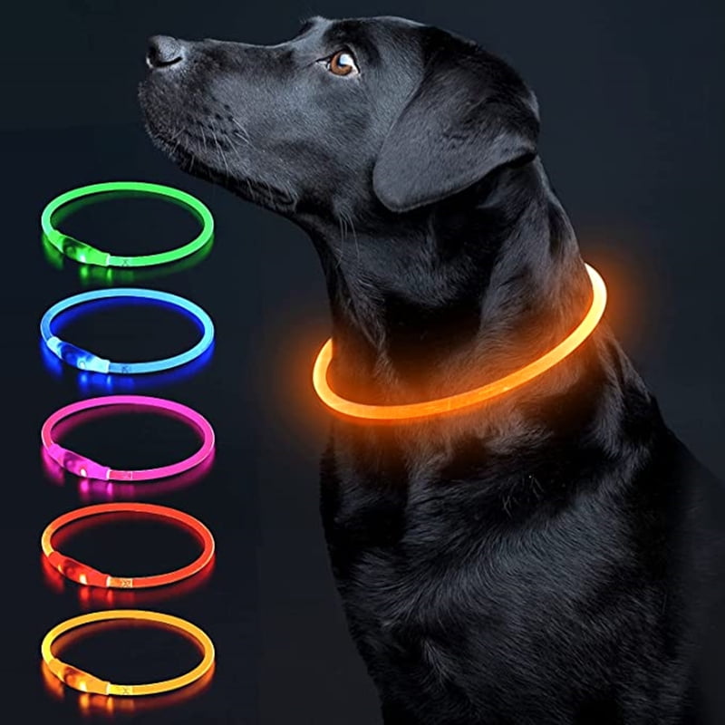 Dog Collar Light Charge Cat Necklace, Led Fashion Flashing DIY Glowing Safety Collar for Dogs ...