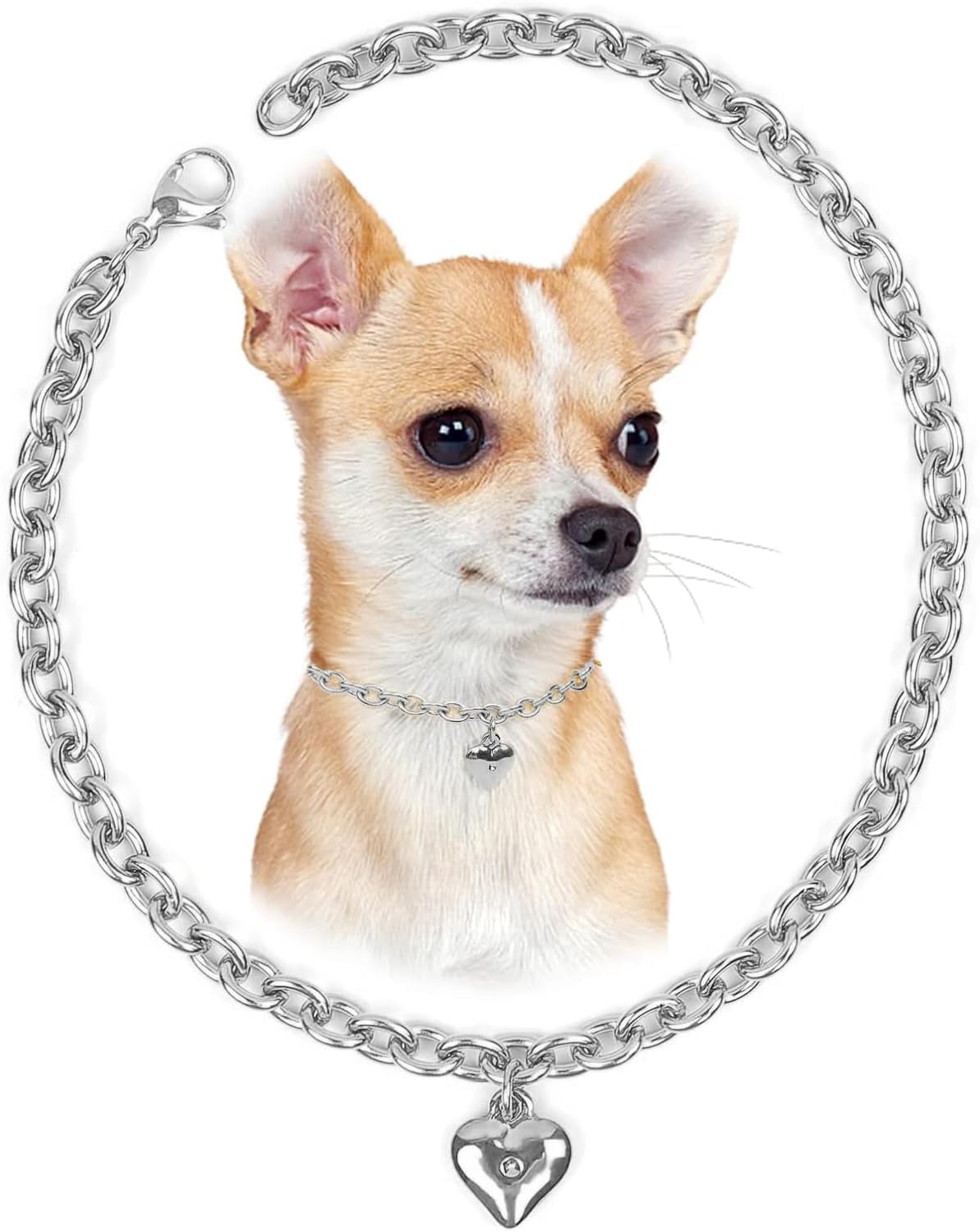 Dog Collar and Cat Chain Necklace Stainless Steel Adjustable 18K Gold ...