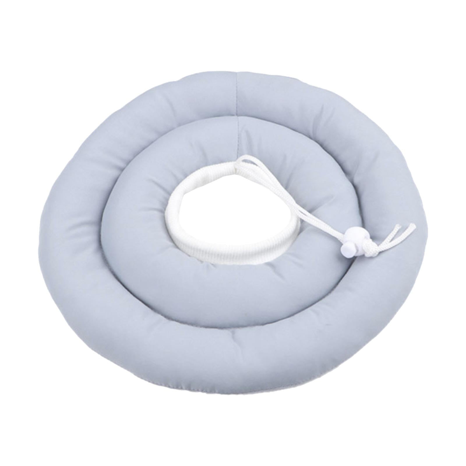 Dog Cone 2023 Graduation Decoration 2023 Graduation Class LED ...