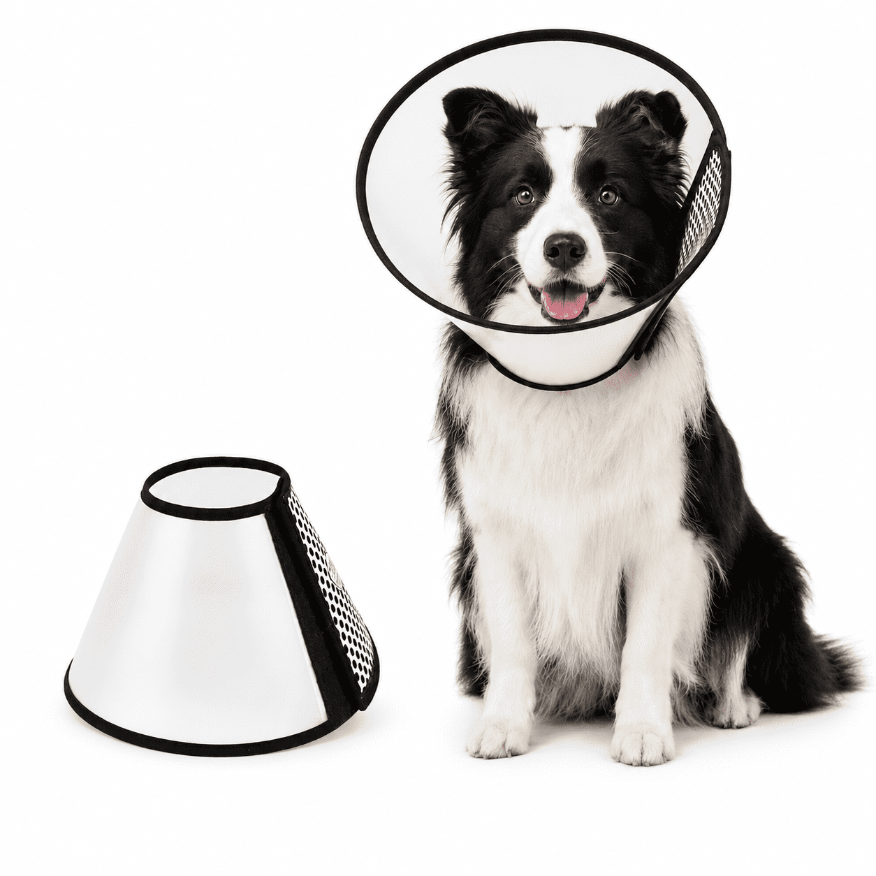 Dog Cone Collar for Dogs After Surgery, Adjustable Elizabethan Collar ...