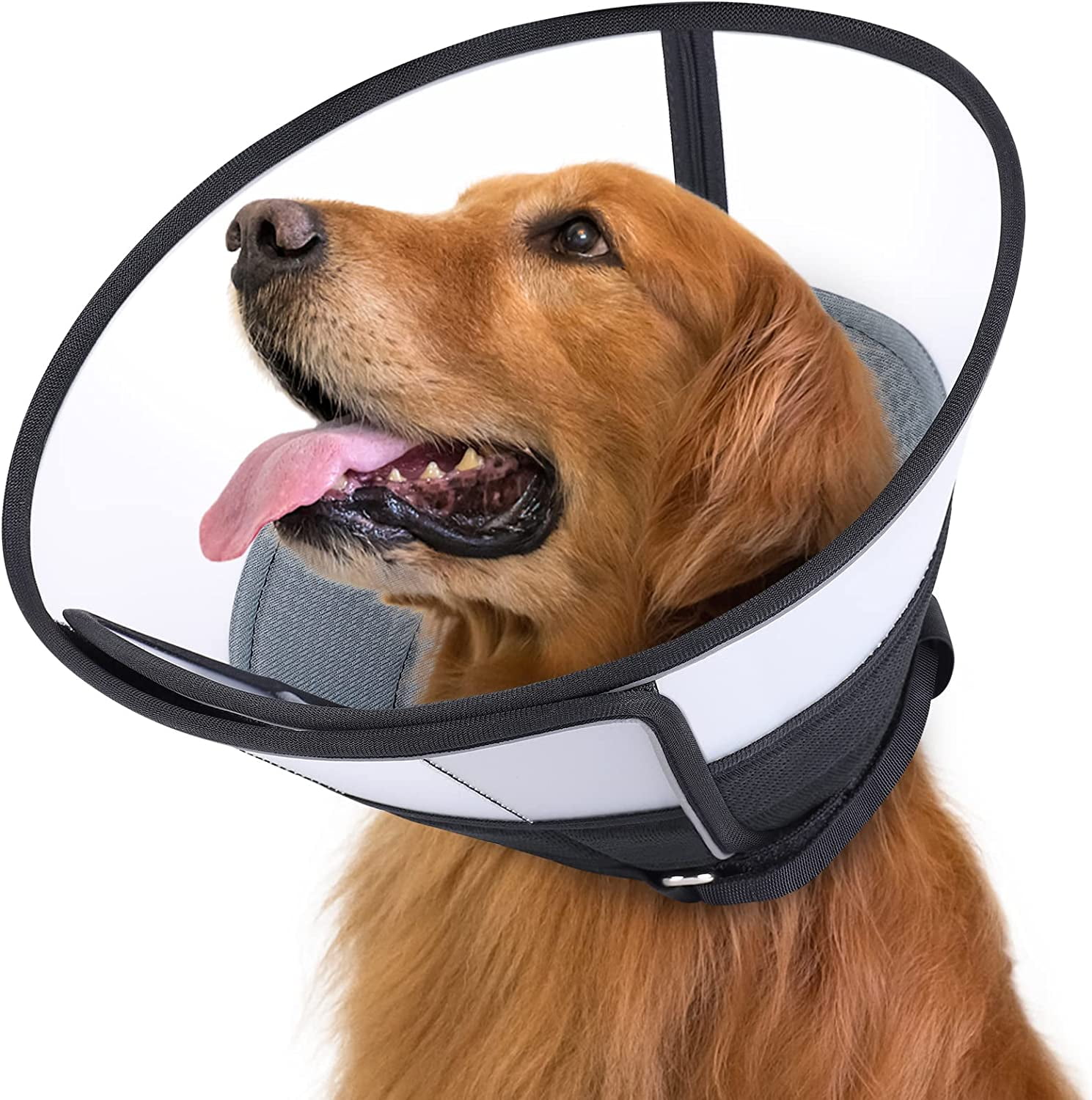 PROJECTRETRO Protective Comfy Dog Cone for Surgery Recovery, Soft ...
