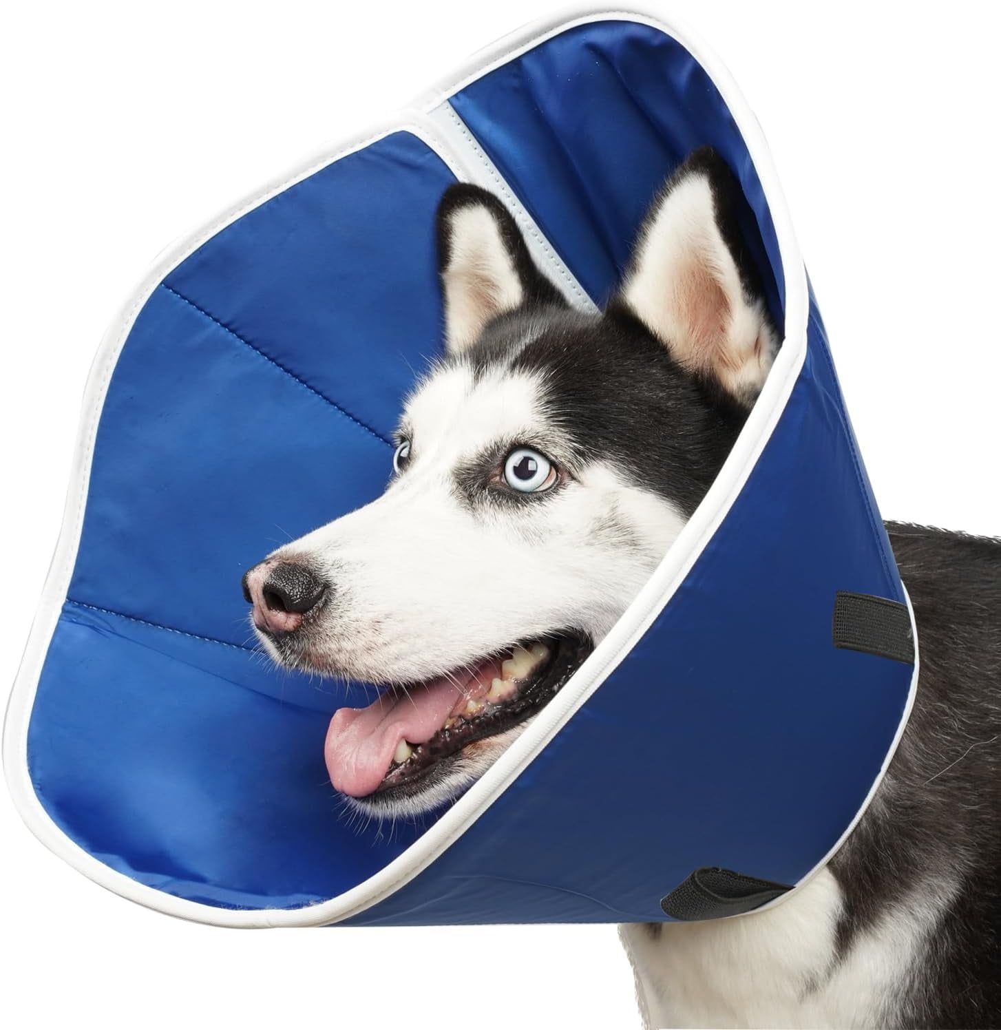 Dog Cone, Soft Cone for Puppies and Cats After Surgery to Stop Licking ...