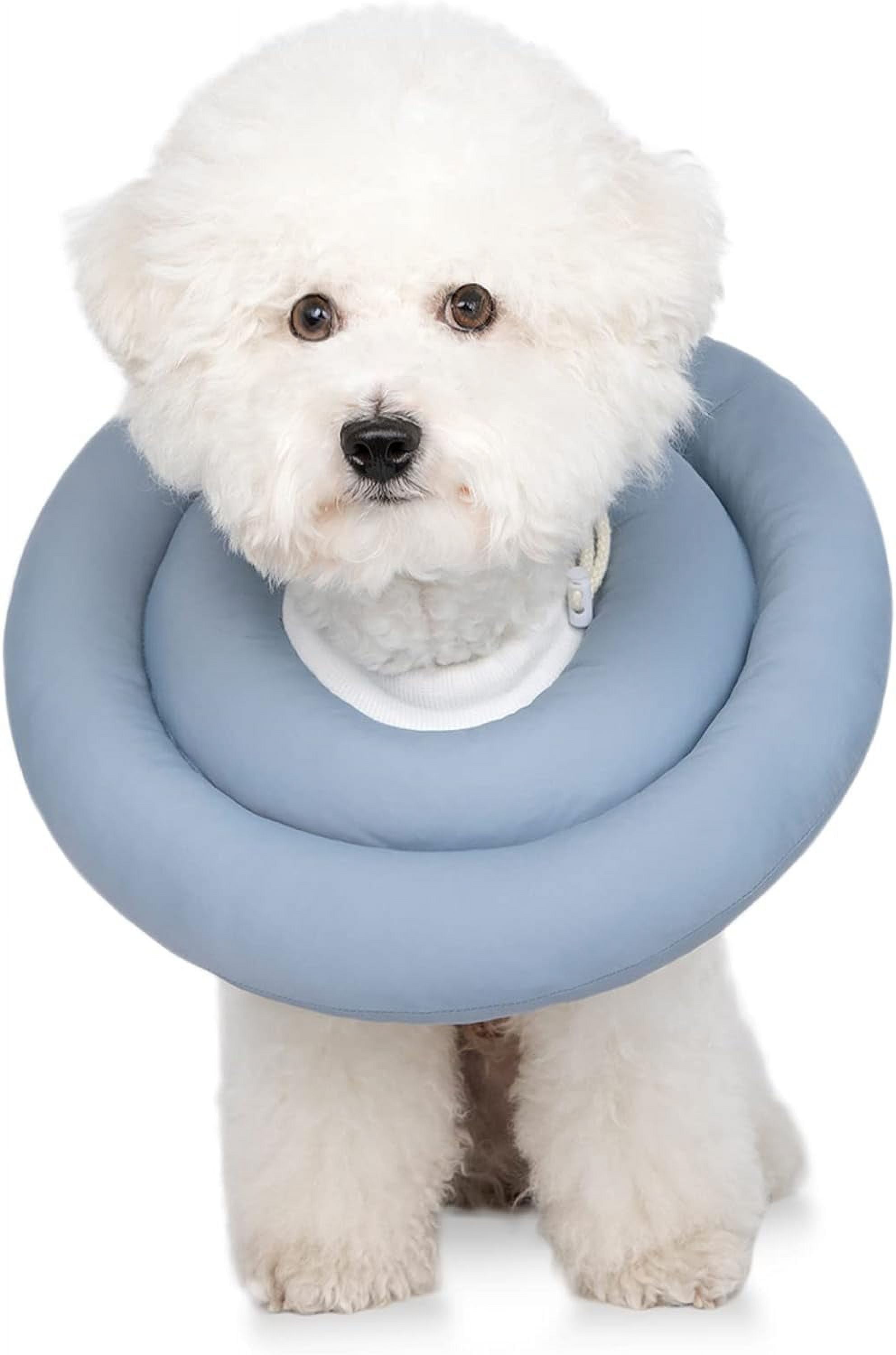 Dog Cone for Small Dogs, Adjustable Soft Dog Cone, Pet Recovery Collar ...