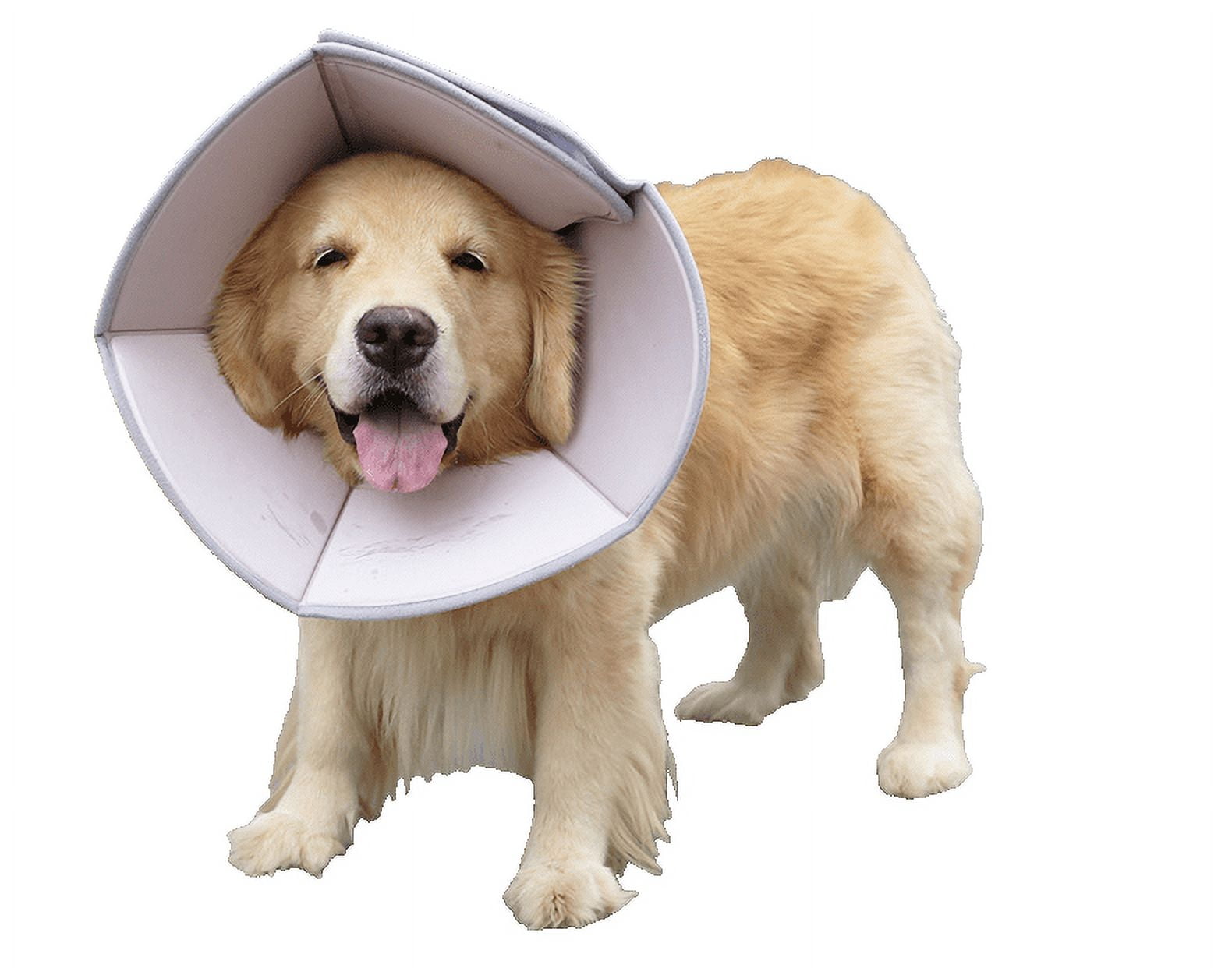 Dog Cones Soft Cone for Dog Cat After Surgery Pet Neuter Recovery ...